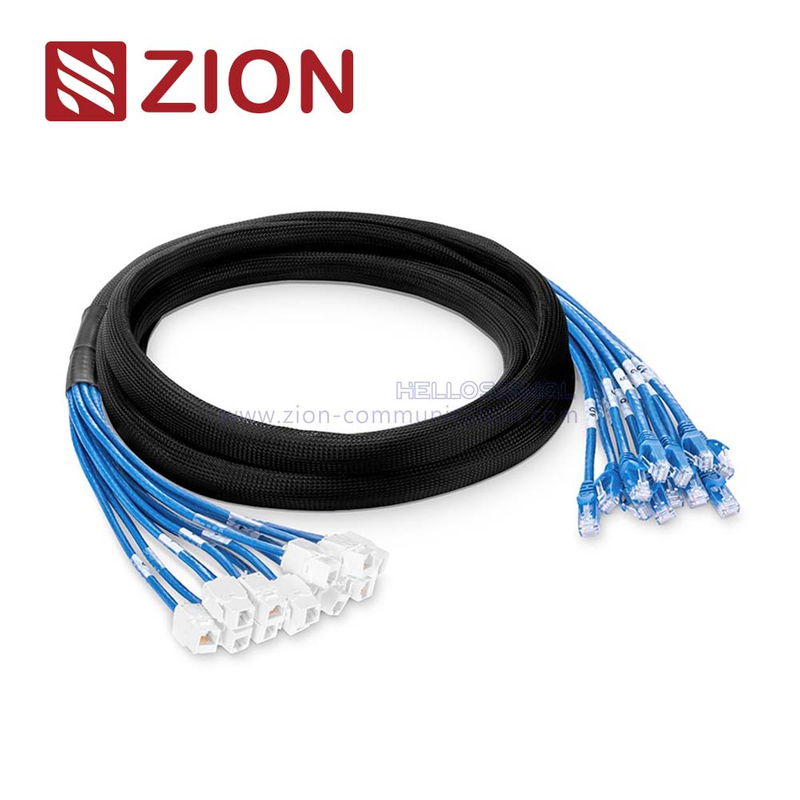 Cat 6 UTP Plug to Jack Trunk Cables from China manufacturer - Zion ...
